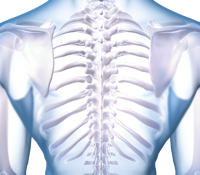 Lung sounds lesson #95274